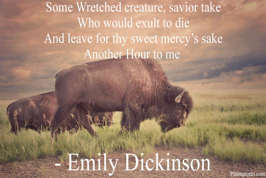 Some Wretched Creature Savior Take some-wretched-creature-savior-take